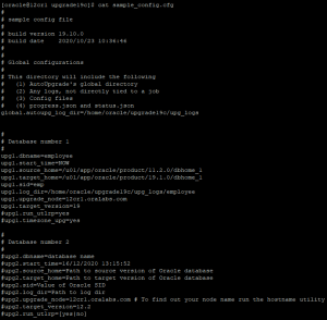 Upgrade Oracle Database from 12c to 19c using AutoUpgrade utility - DBsGuru