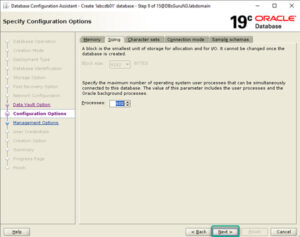 Step by Step Oracle 19c Binary Installation and Database Creation On Linux Part 2 - DBsGuru